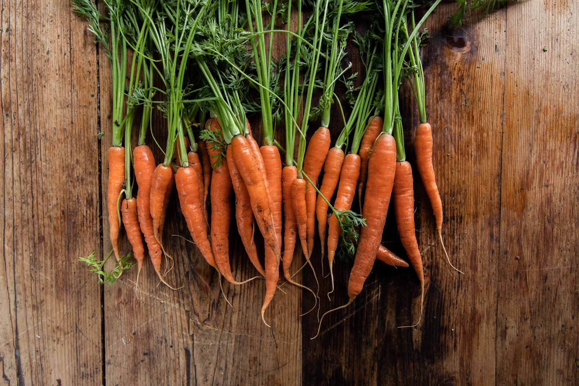 Welcome to Bailey's Country Store Penryn - Bailey's Country Store